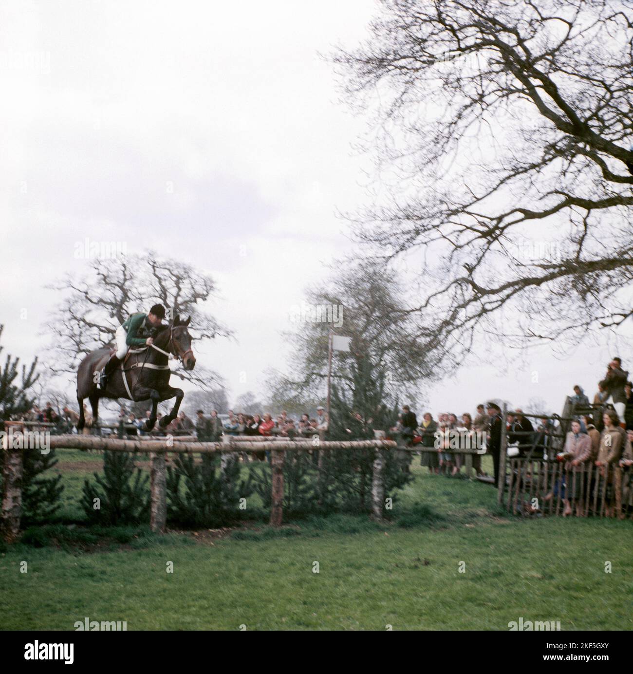 N.J Lavis taking a cross country jump on 'Mirrabooka', who finished ...