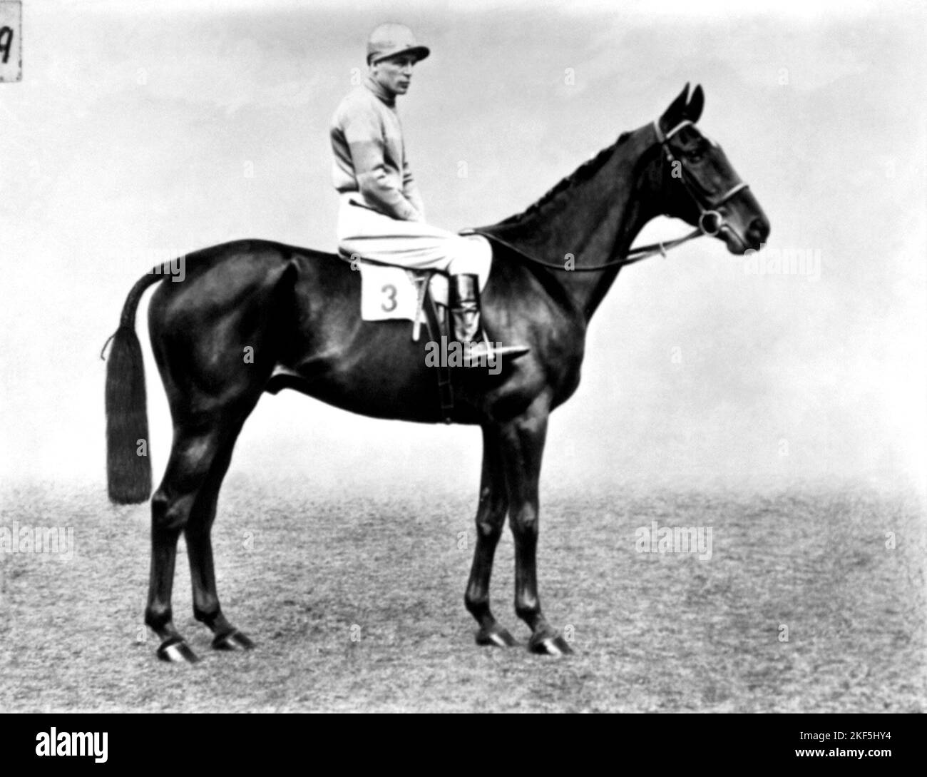 Golden Miller, Gerry Wilson up, winner of the 1934 Grand National, and ...
