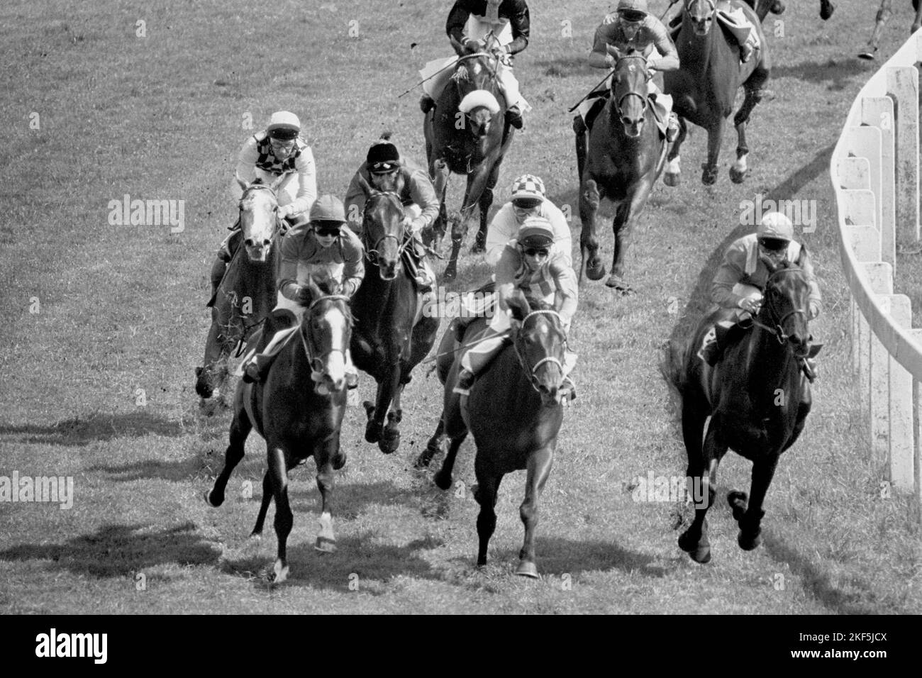 The field comes around Tattenham corner, led by Shergar (front l ...