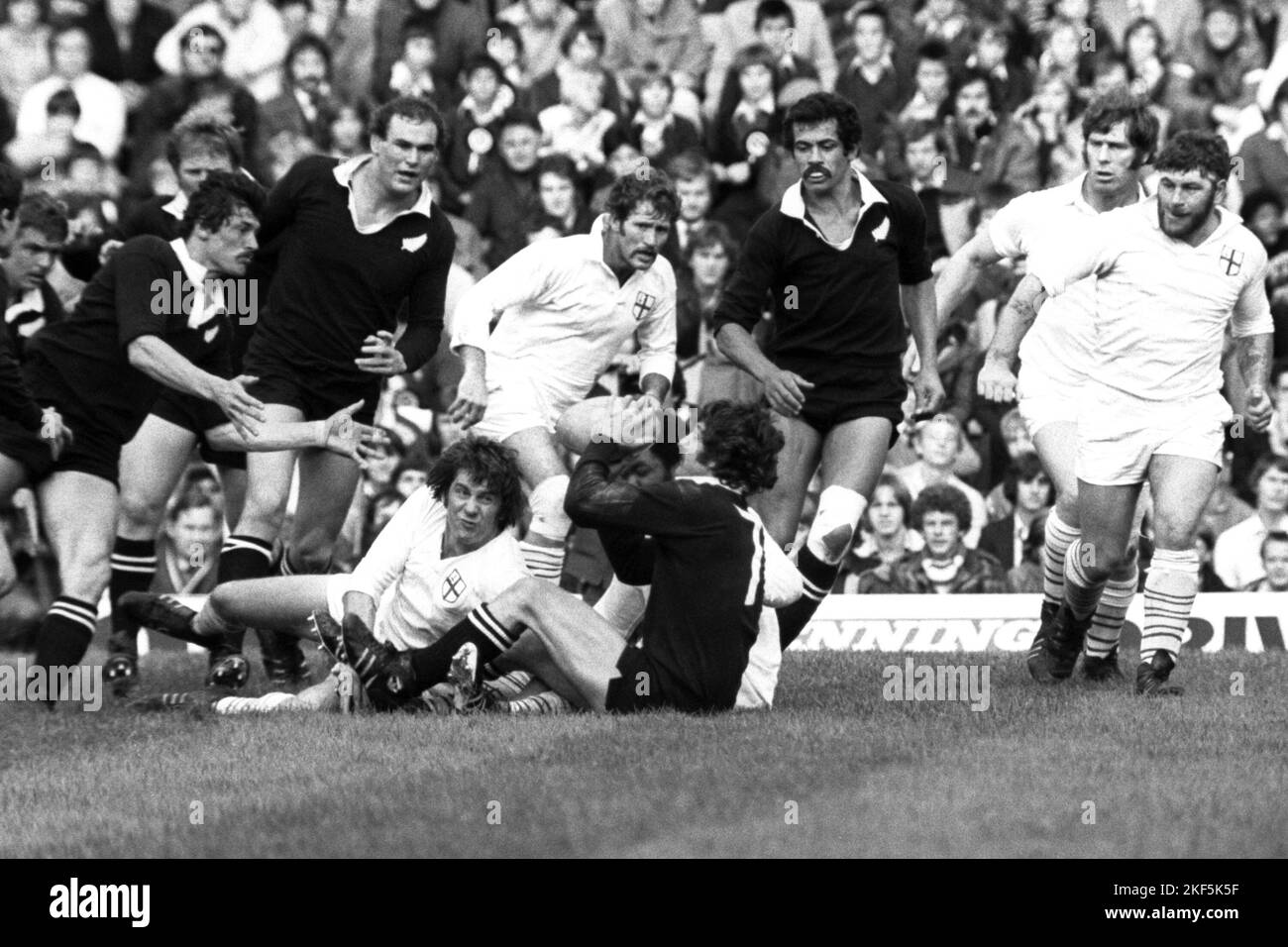 New Zealand's Graham Mourie (c, on floor) tries to pitch the ball back ...