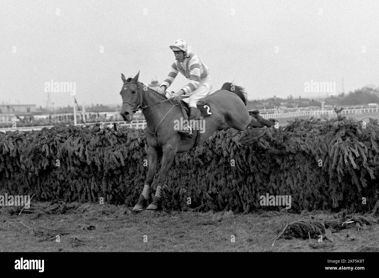Gay Trip, Pat Taaffe up, clears the last fence before galloping on to ...