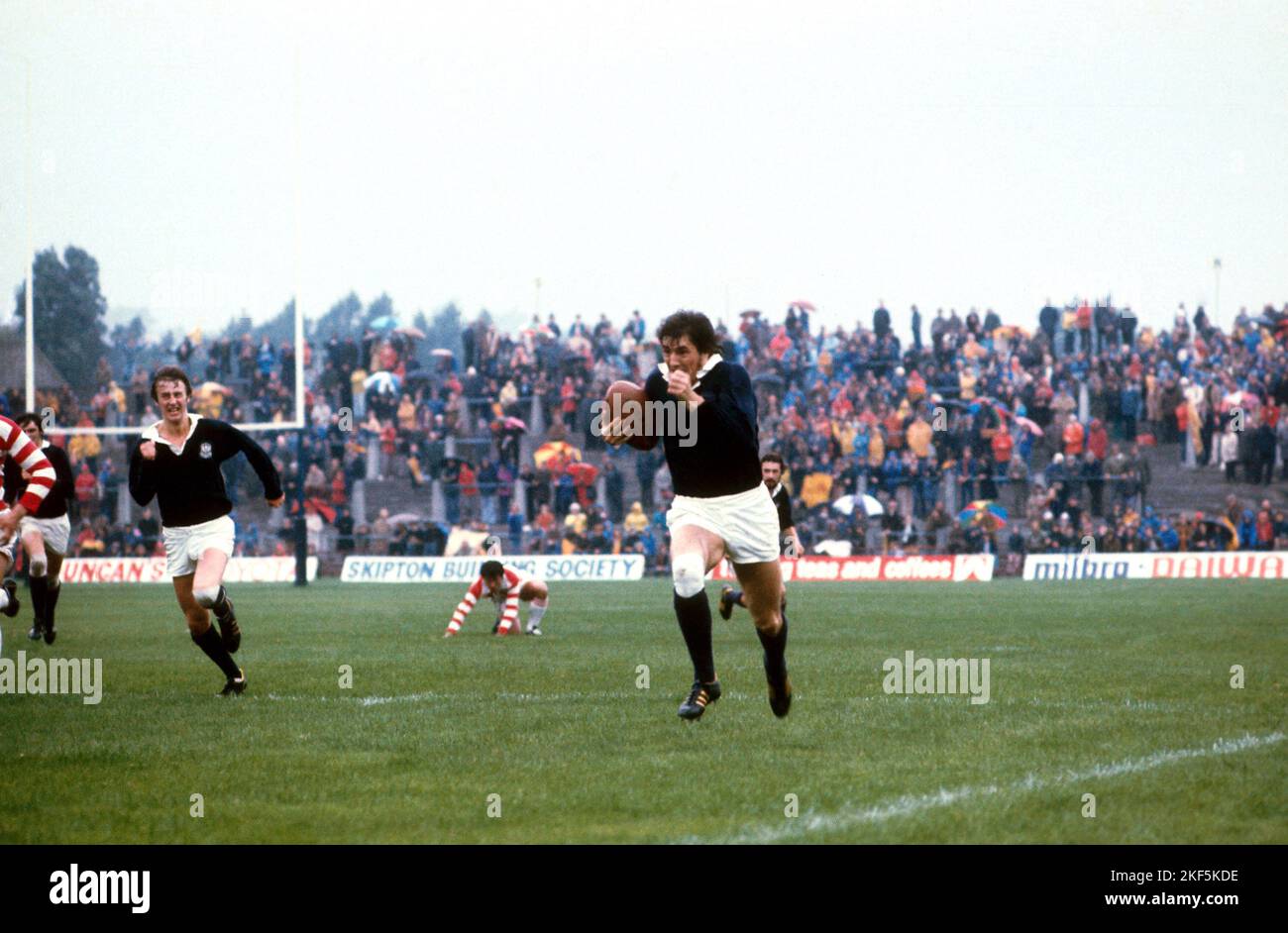 Andy Irvine, Scotland XV Stock Photo - Alamy