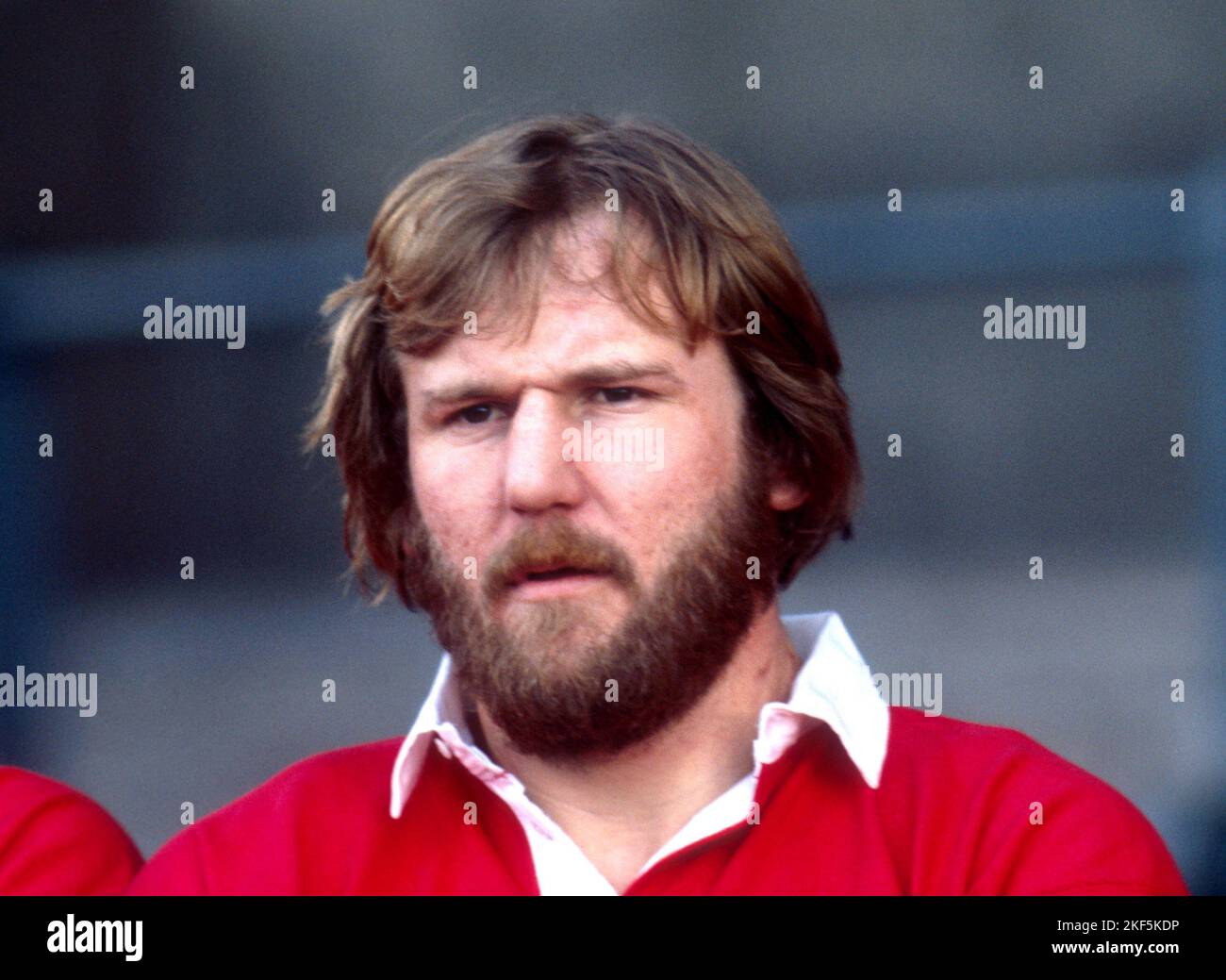 Derek Quinnell, Wales Stock Photo - Alamy