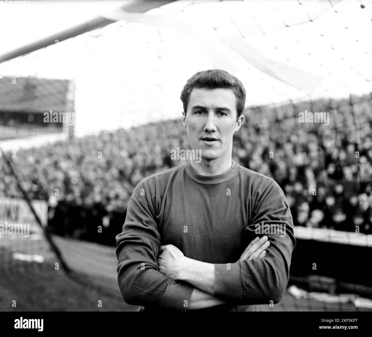 Fred Davies, Wolverhampton Wanderers goalkeeper Stock Photo - Alamy