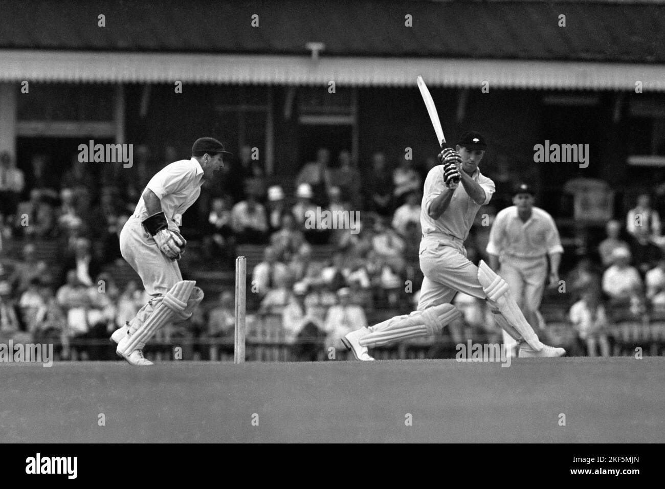 Vic Wilson of Yorkshire batting, and wicket keeper Rupert Webb Stock ...