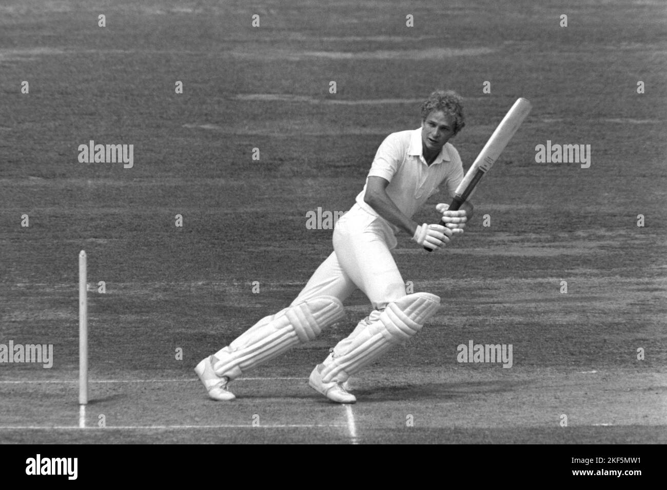 David Gower, England Stock Photo - Alamy