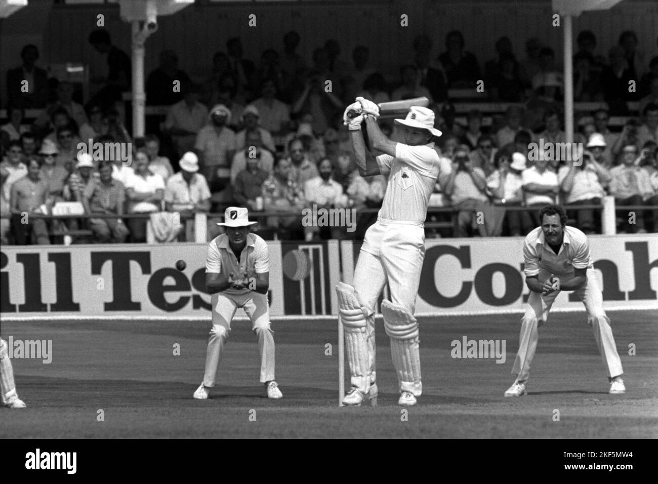 David Gower, England (c Stock Photo - Alamy