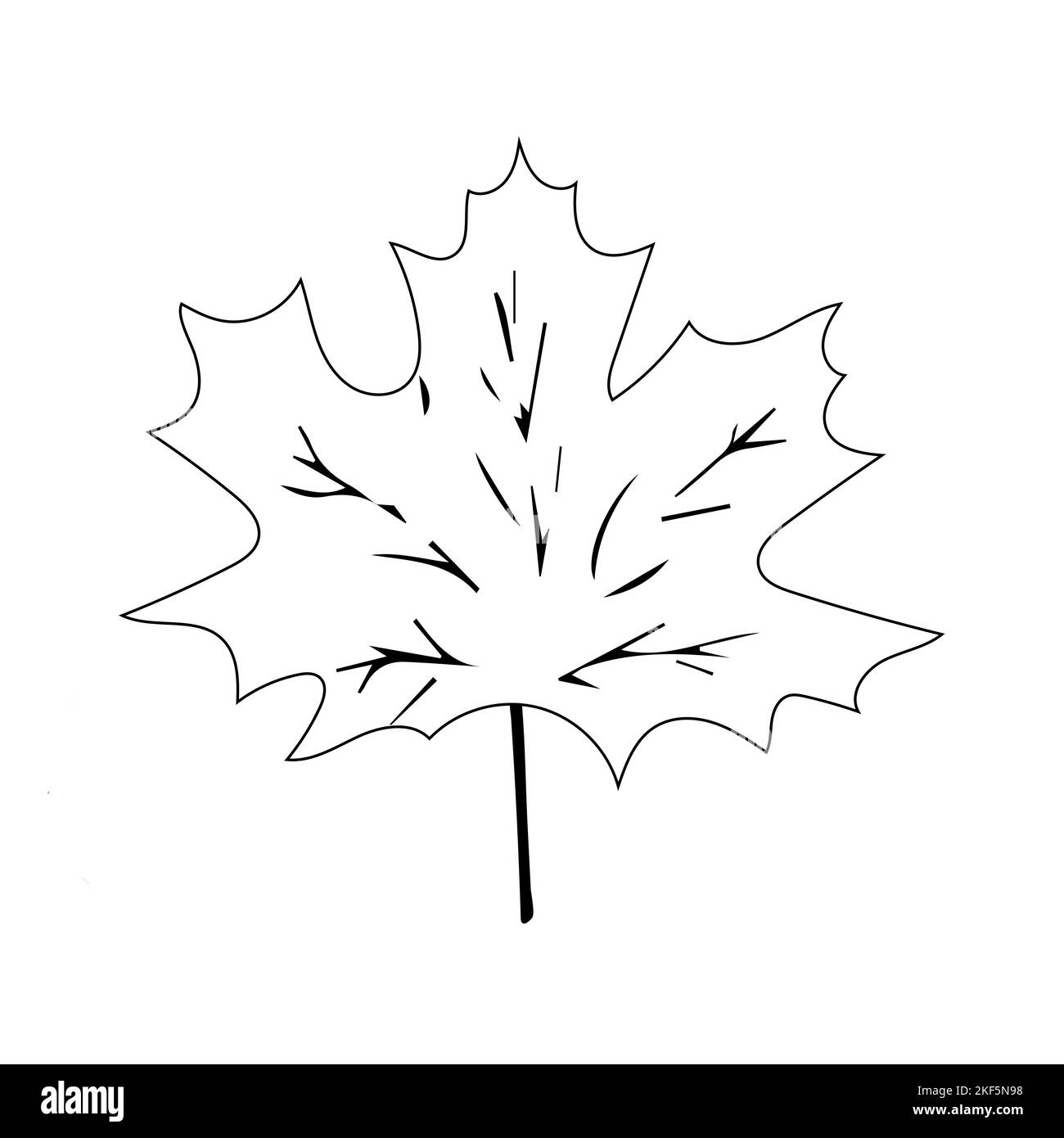 Autumn leaves icons outline. Autumn leaves isolated on white background ...