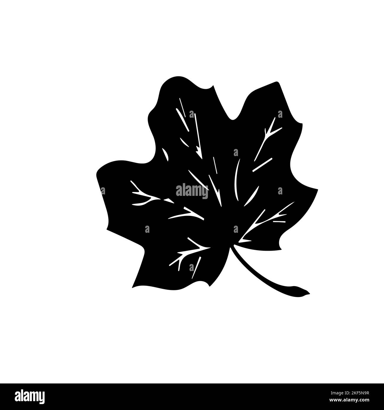 Autumn leaves icons outline. Autumn leaves isolated on white background ...