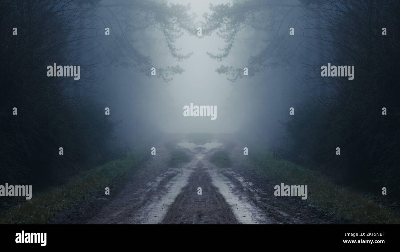 A mystical symmetrical framing of trees along a muddy path. On a ...