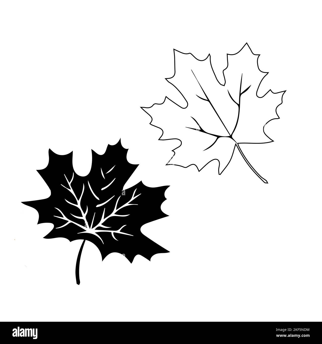 Fall Leaves Clipart Black And White