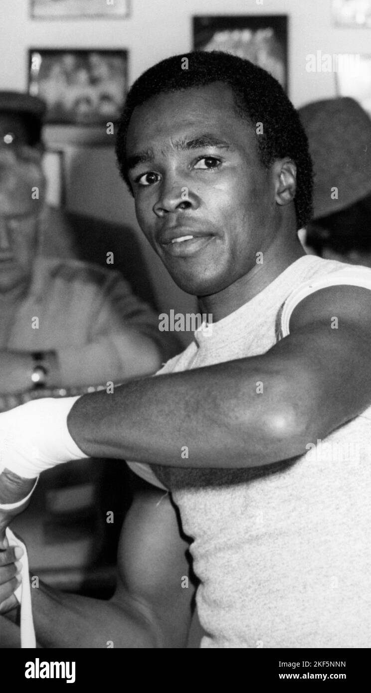 American welterweight boxer Sugar Ray Leonard Stock Photo - Alamy