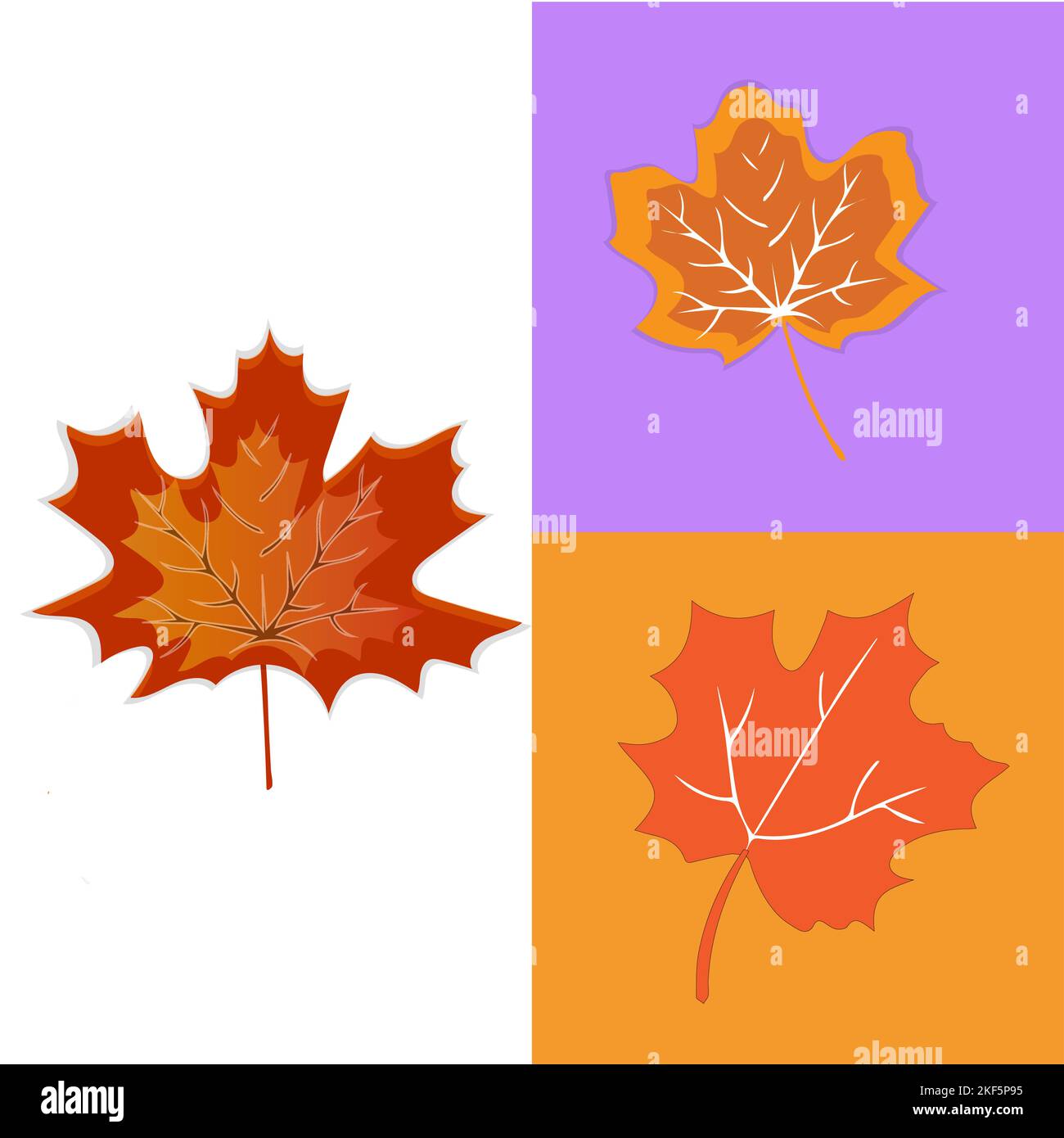 Autumn leaf. Autumn maple leaf isolated on a white background. Vector ...