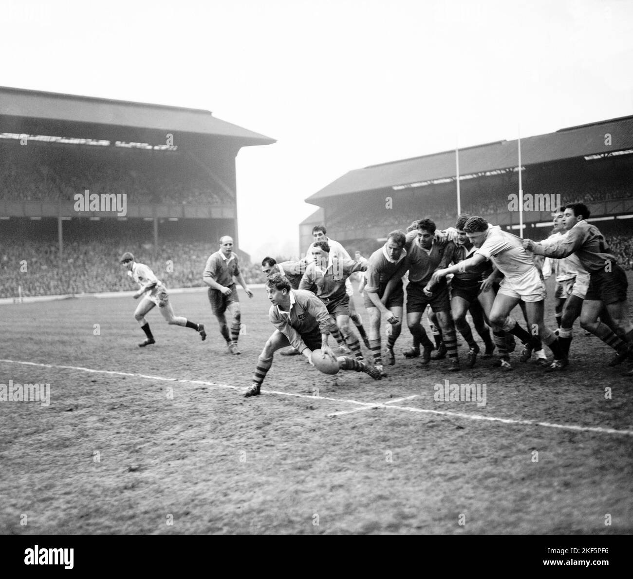 Australia scrum half Ken Catchpole feeds his backs Stock Photo - Alamy
