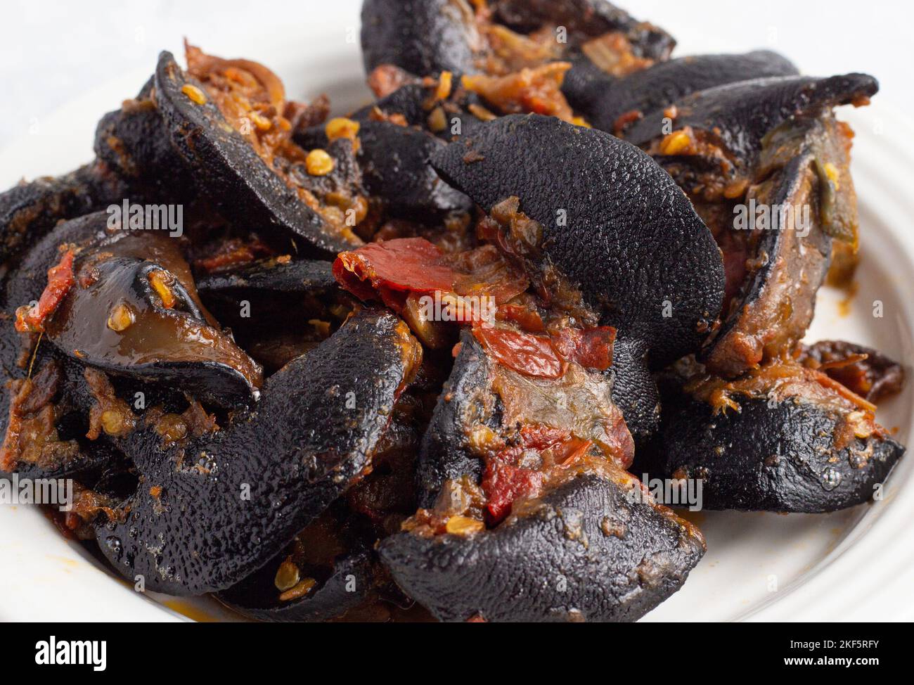 Nigerian peppered snail Stock Photo - Alamy