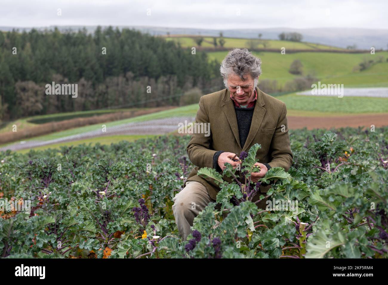 Organic farmer Guy Singh-Watson, pictured on Riverford Organic Farm ...
