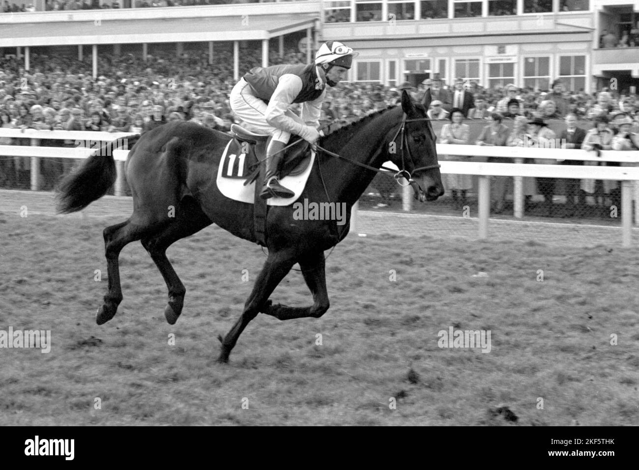 Wayward Lad, John Jo O'Neil up Stock Photo - Alamy