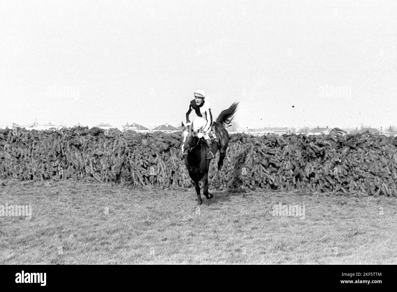 Ben Nevis, Charlie Fenwick up, takes the last fence before going on to ...