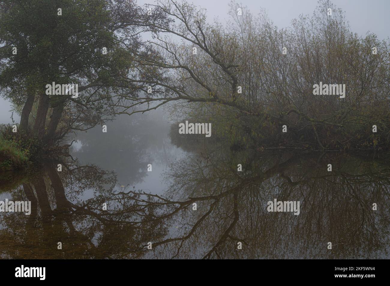 Autumnal scenery in Dedham Vale. Colourful trees by the river Stour ...