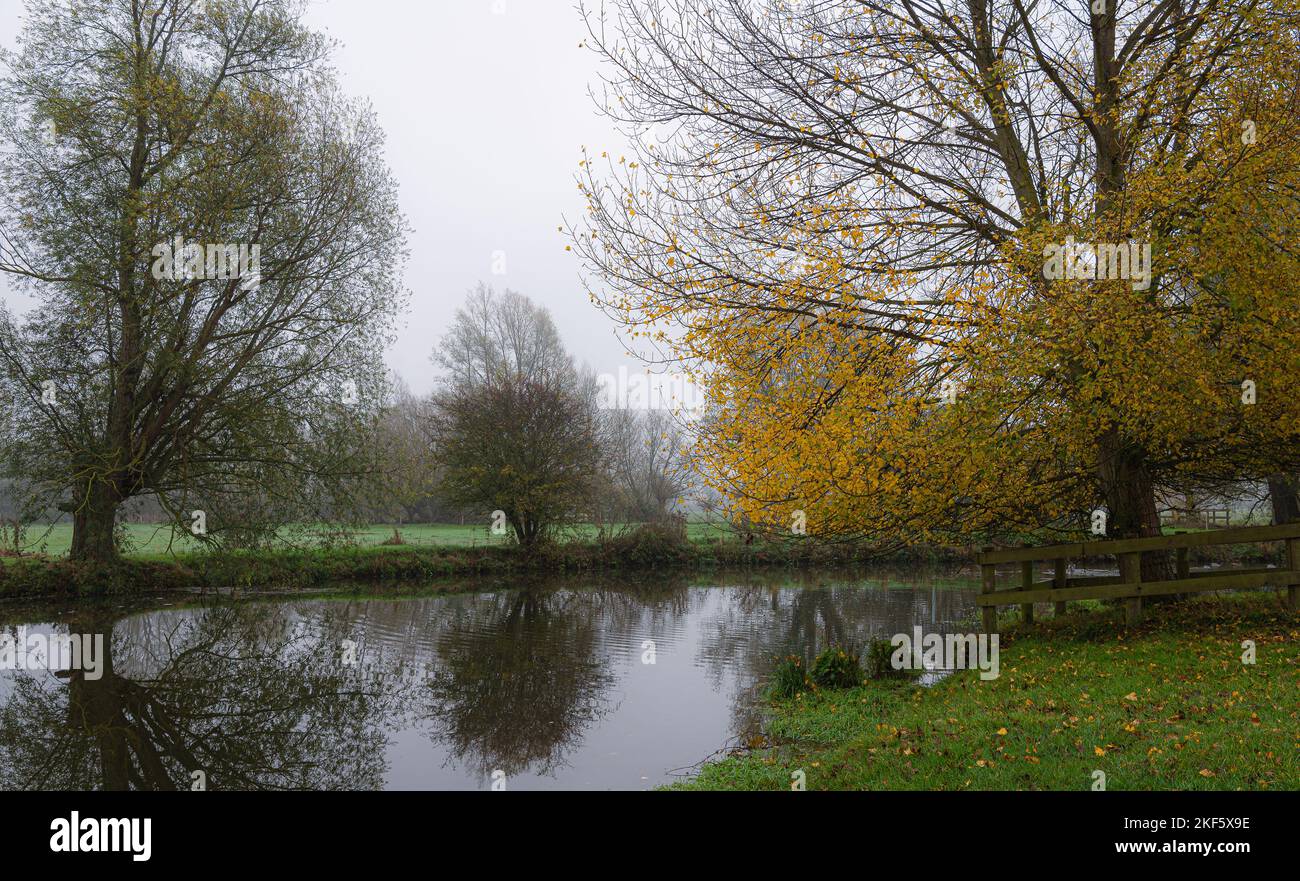 Autumnal scenery in Dedham Vale. Colourful trees by the river Stour ...