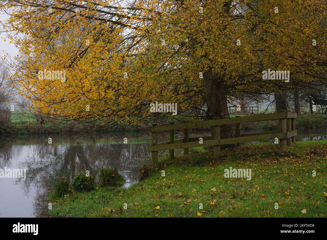 Autumnal scenery in Dedham Vale. Colourful trees by the river Stour ...