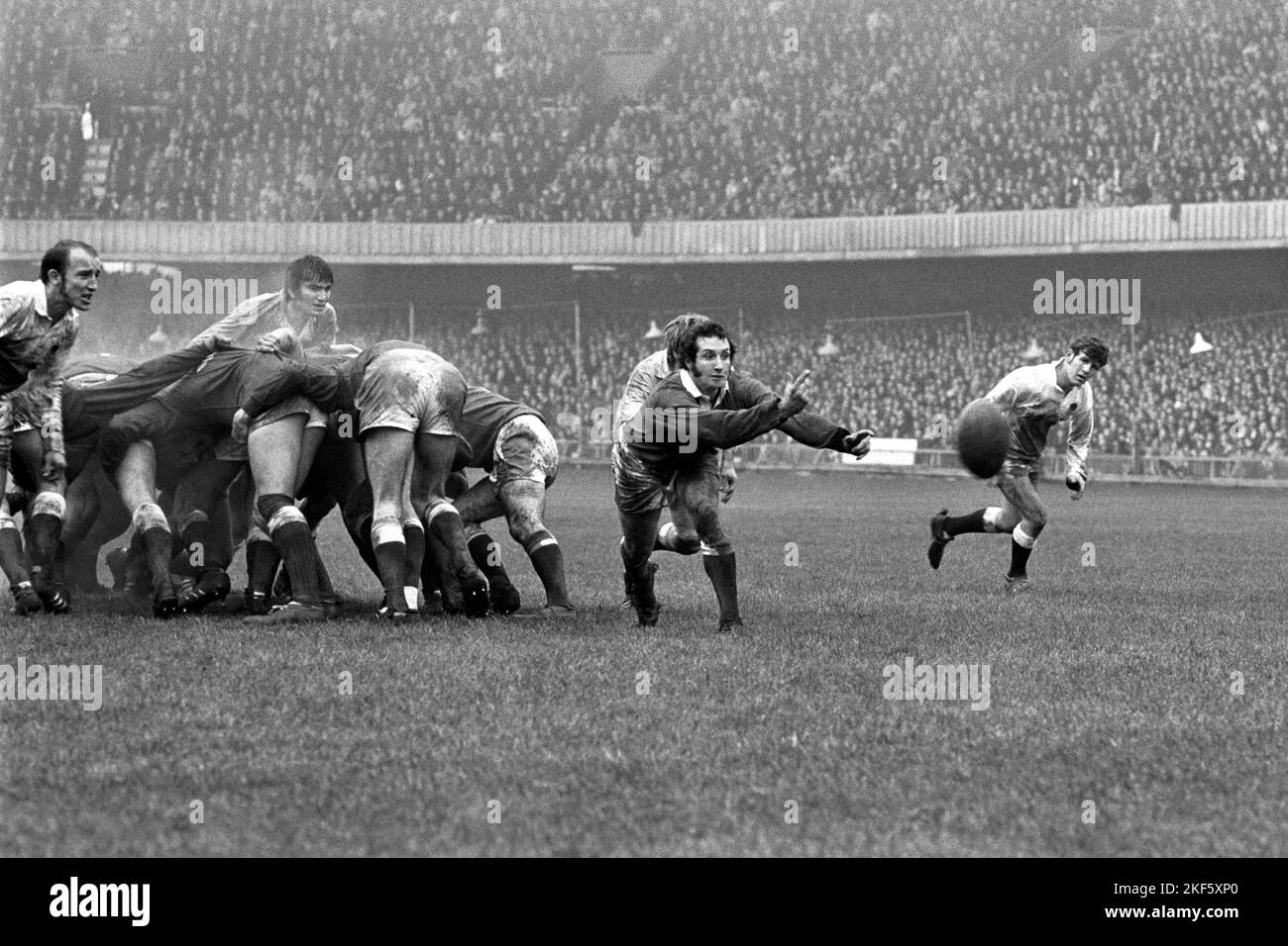 Wales scrum half Gareth Edwards feeds his backs from a scrum Stock ...