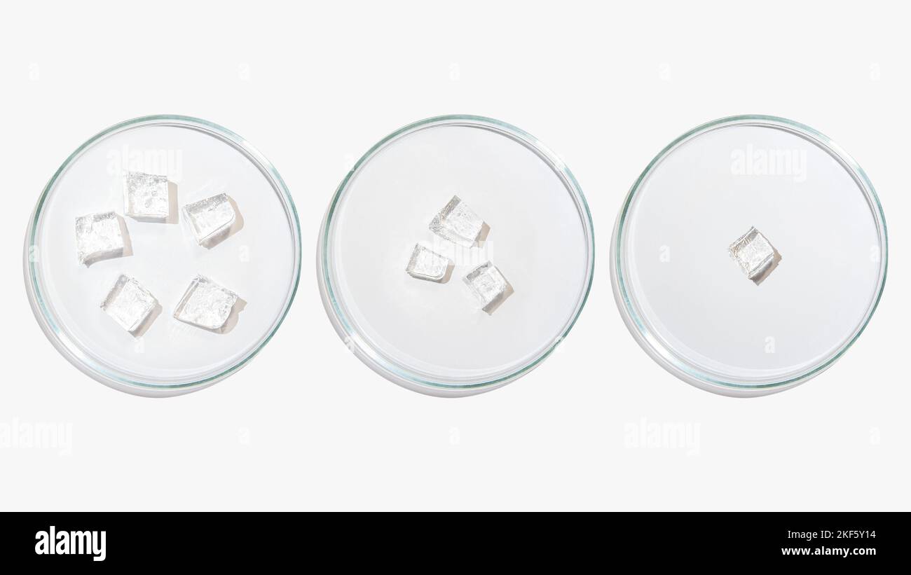 Several petri dishes on a light background. Gel cubes, solidified ...