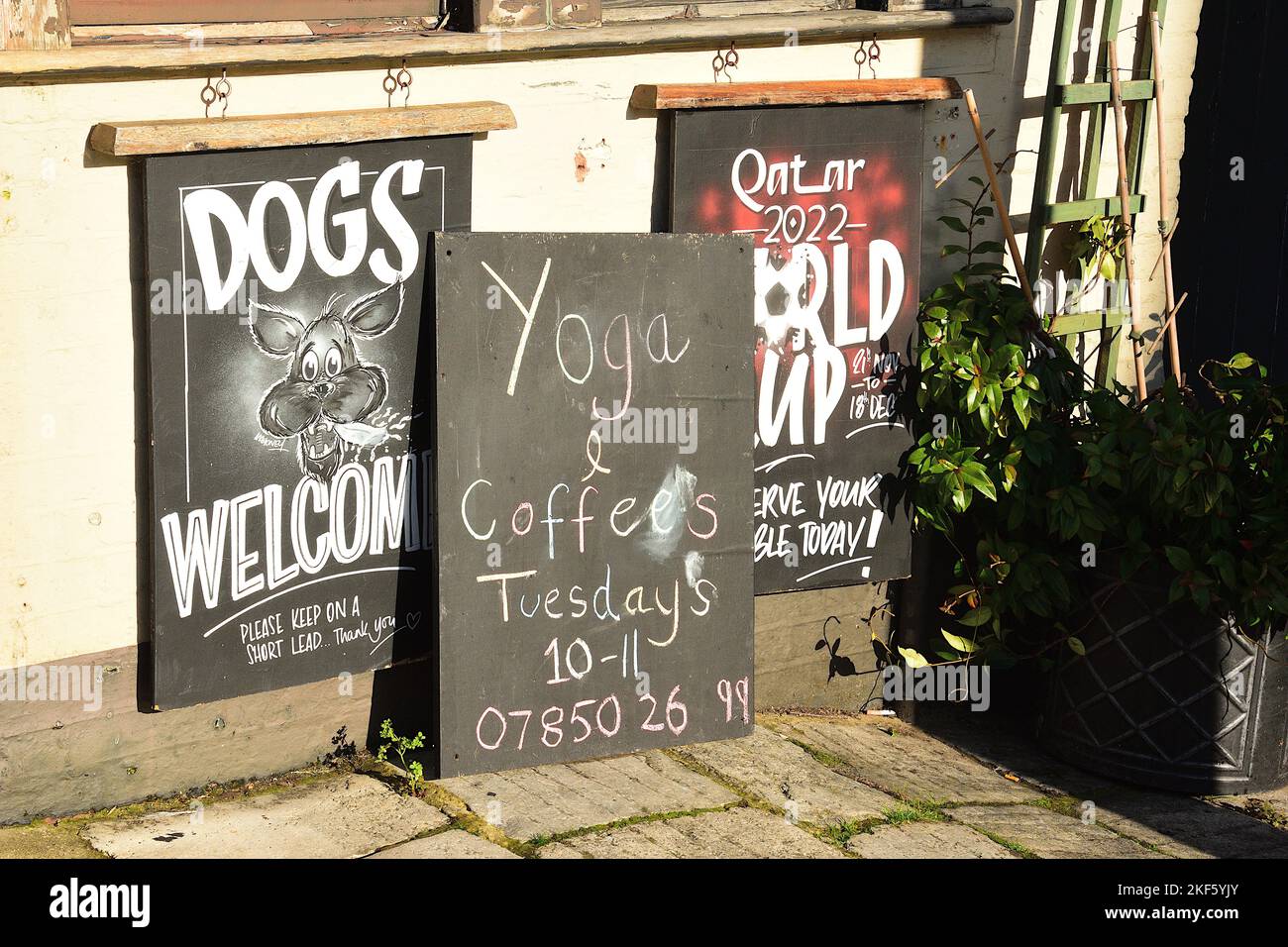 Pub signs, Dogs, Yoga, World cup Stock Photo - Alamy