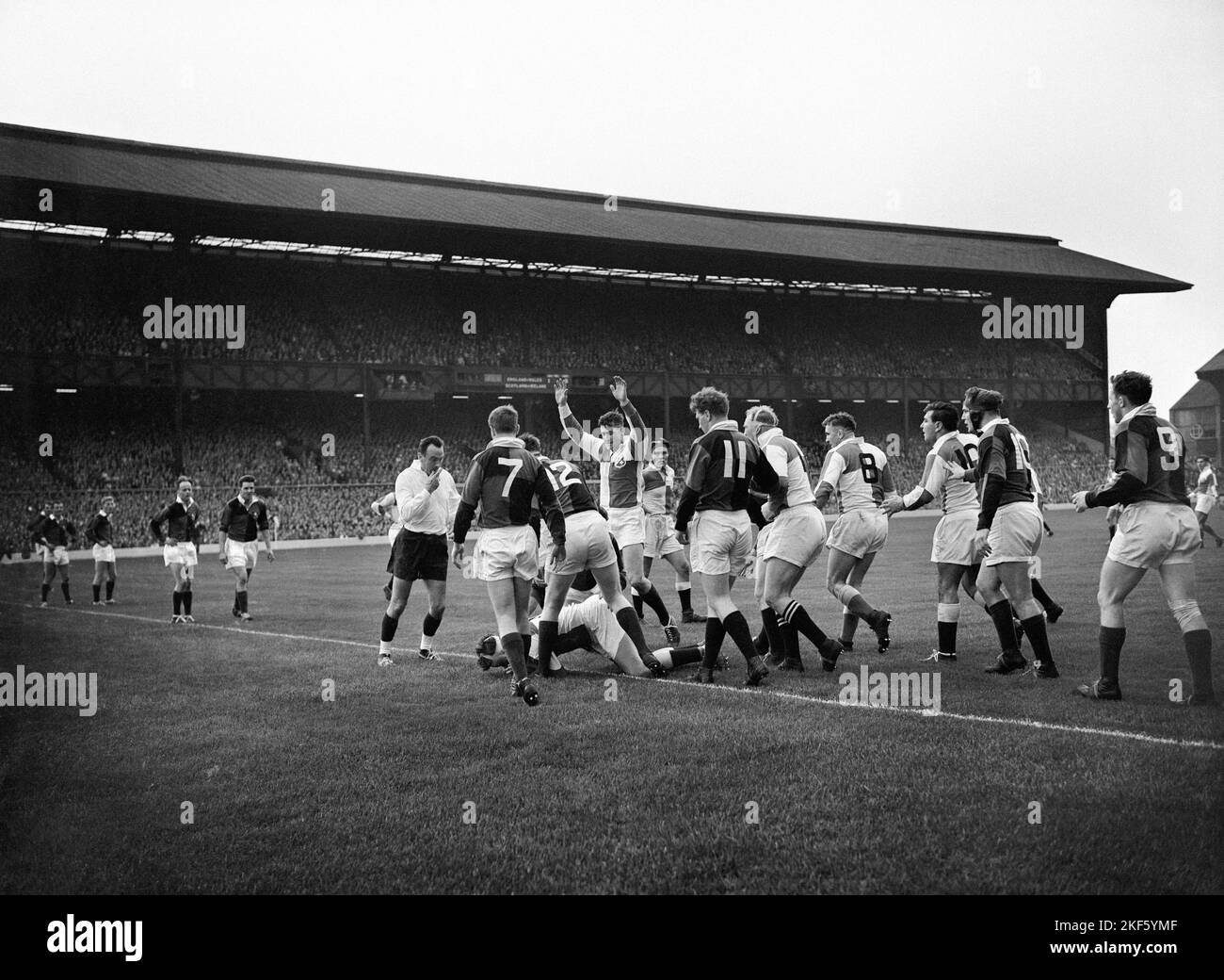 Muscles Currie of England and Wales goes over the line amongst a ruck ...