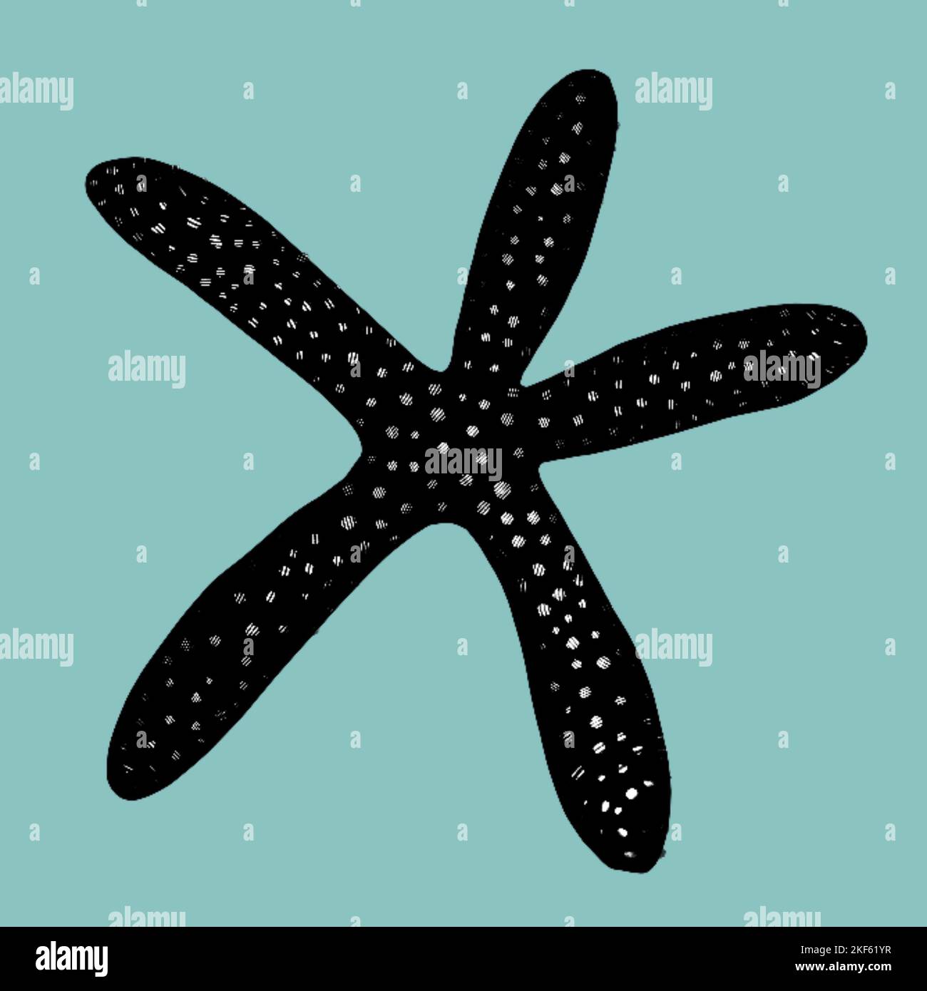 a graphic engraving of a starfish. Realistic starfish black and white ...