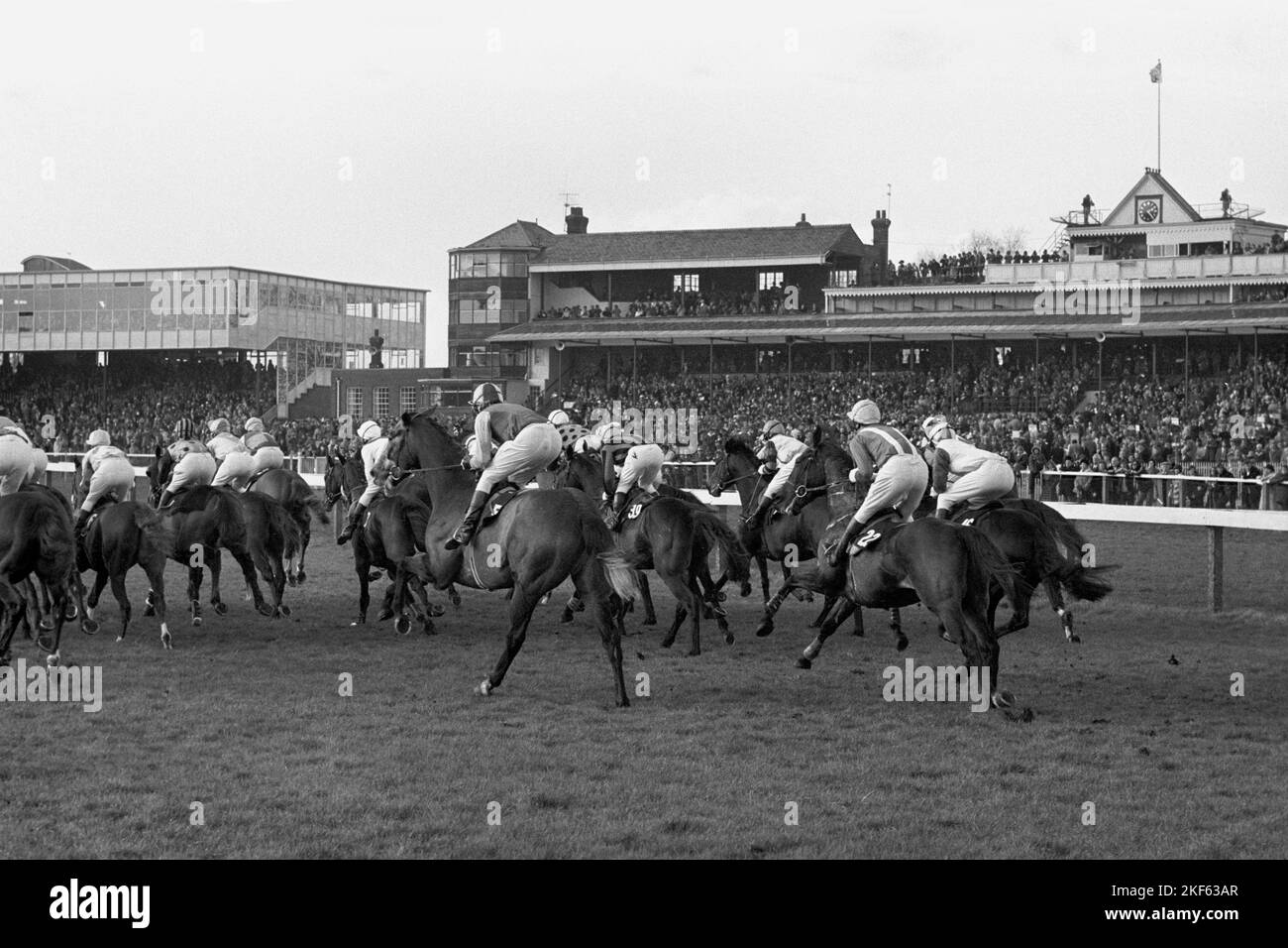 The field pass in front of the Newbury stands Stock Photo - Alamy