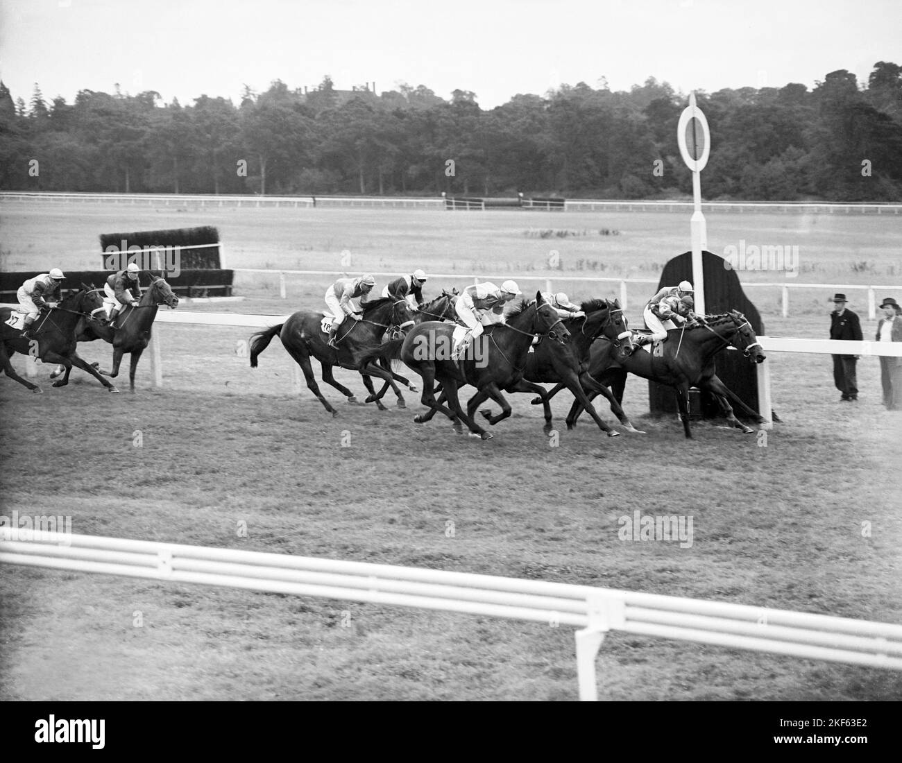 Dragon Fly, Wally Swinburn up, is victorious by a head from Romany Air ...