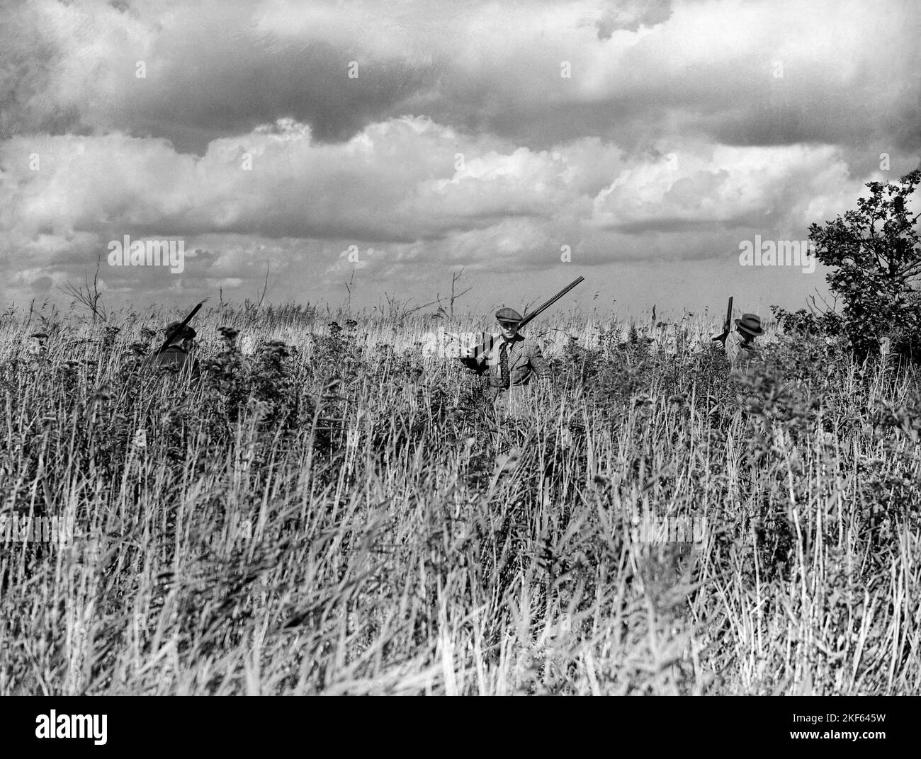 Mr Edward Marsh, Mr Wentworth and Master Marsh go looking for a dead ...