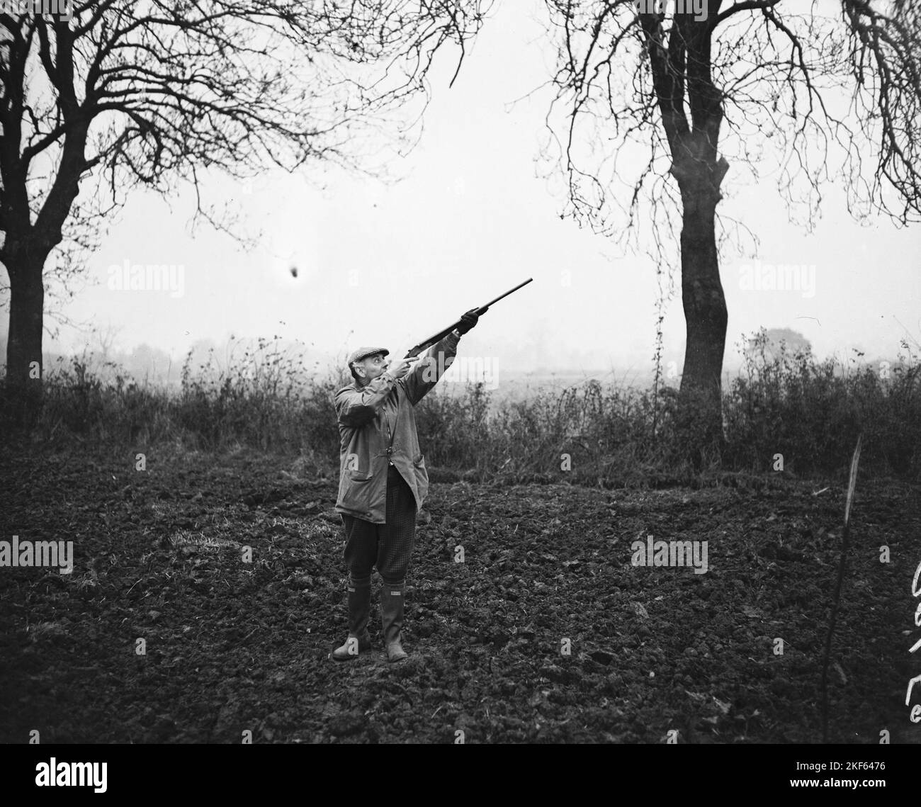 Generic shots of a weekend of game bird shooting at the Marks Tey ...