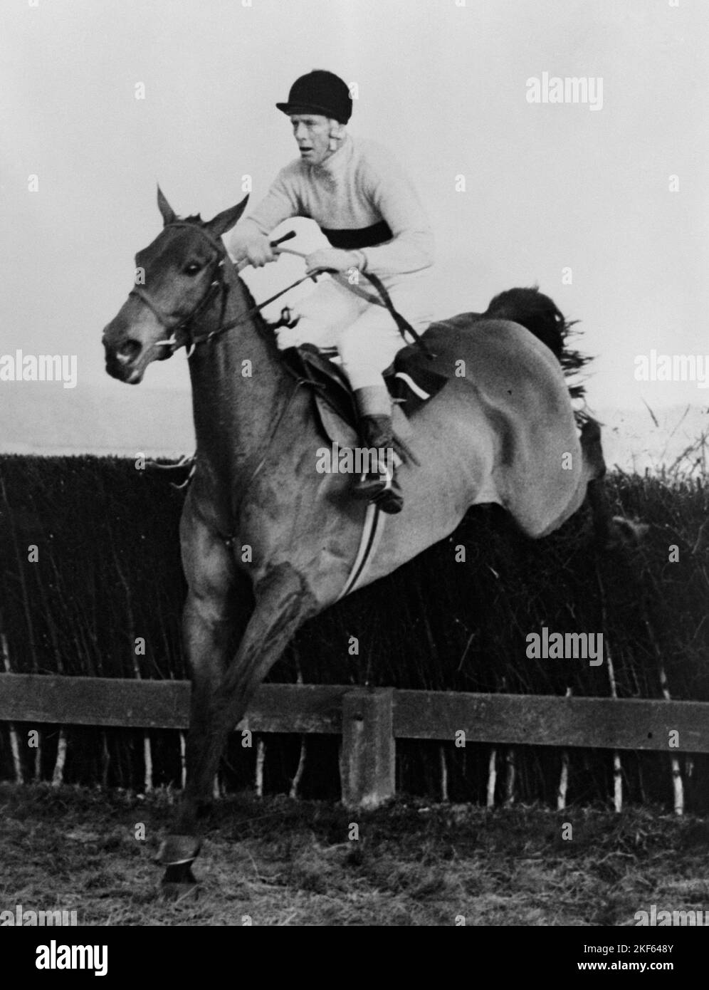 Arkle, Pat Taaffe up, taking the last hurdle to win Stock Photo - Alamy