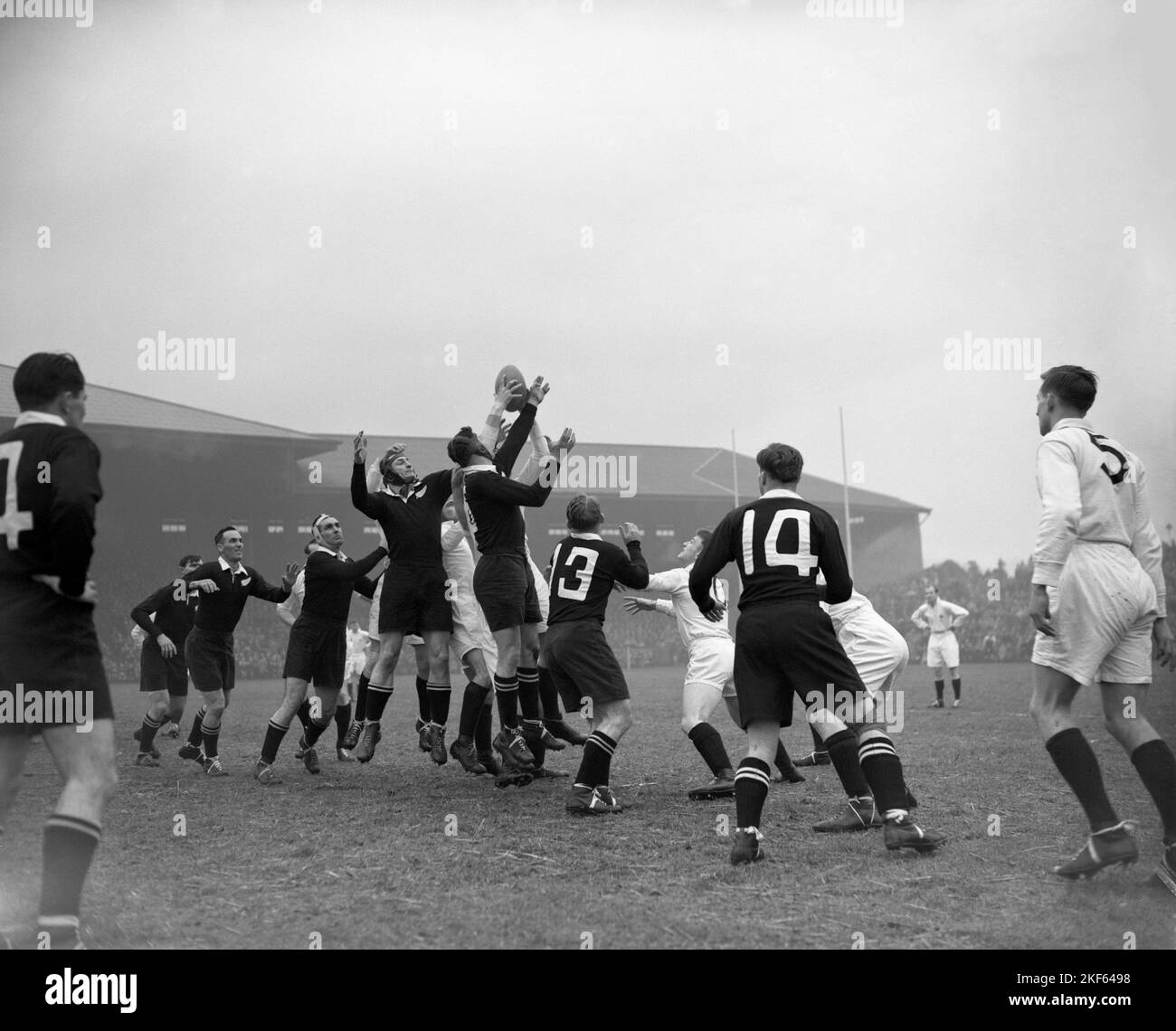 Scotland gain possession from a lineout Stock Photo - Alamy