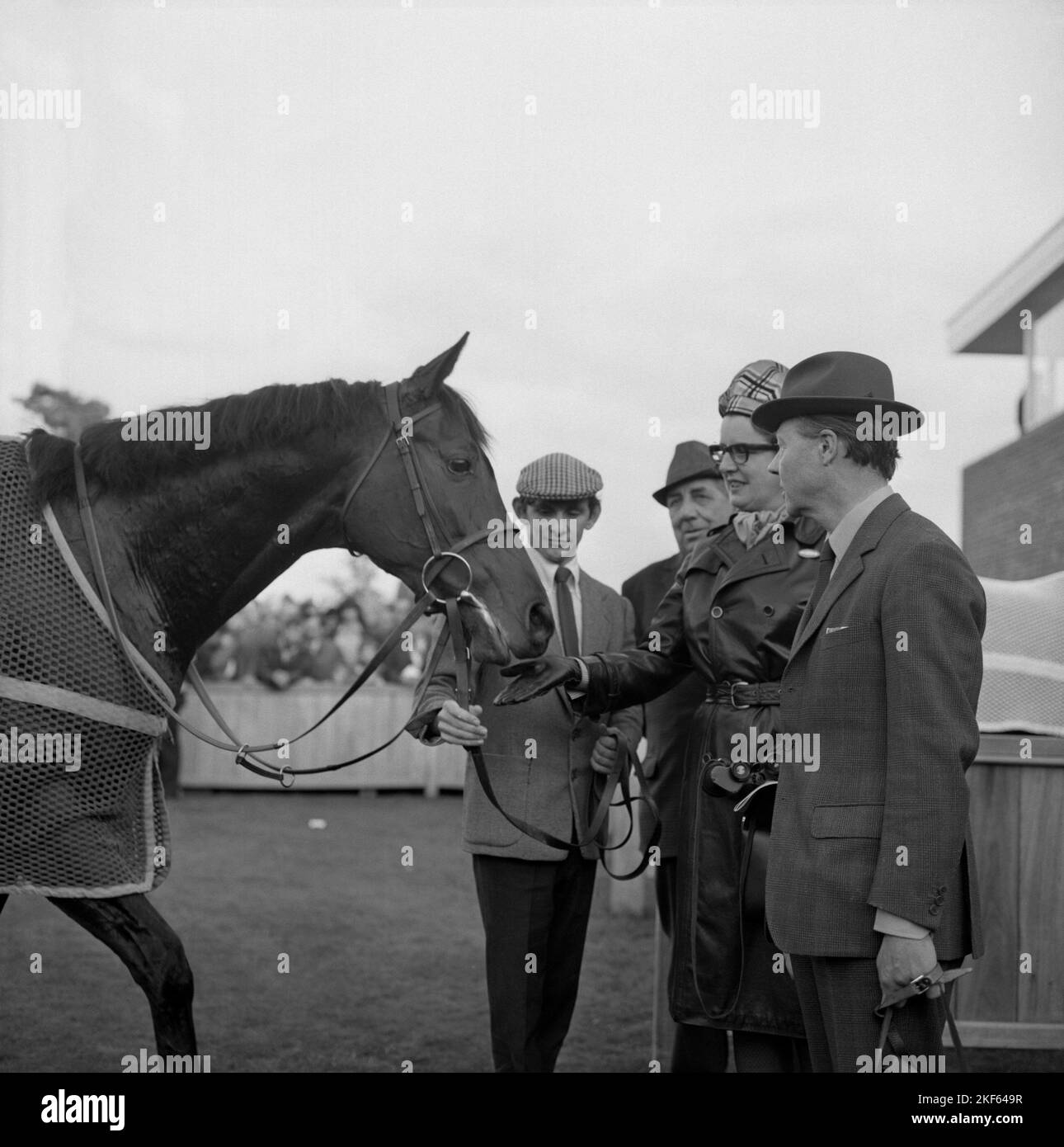 Owners John Hislop and his wife with Brigadier Gerard after he won his ...