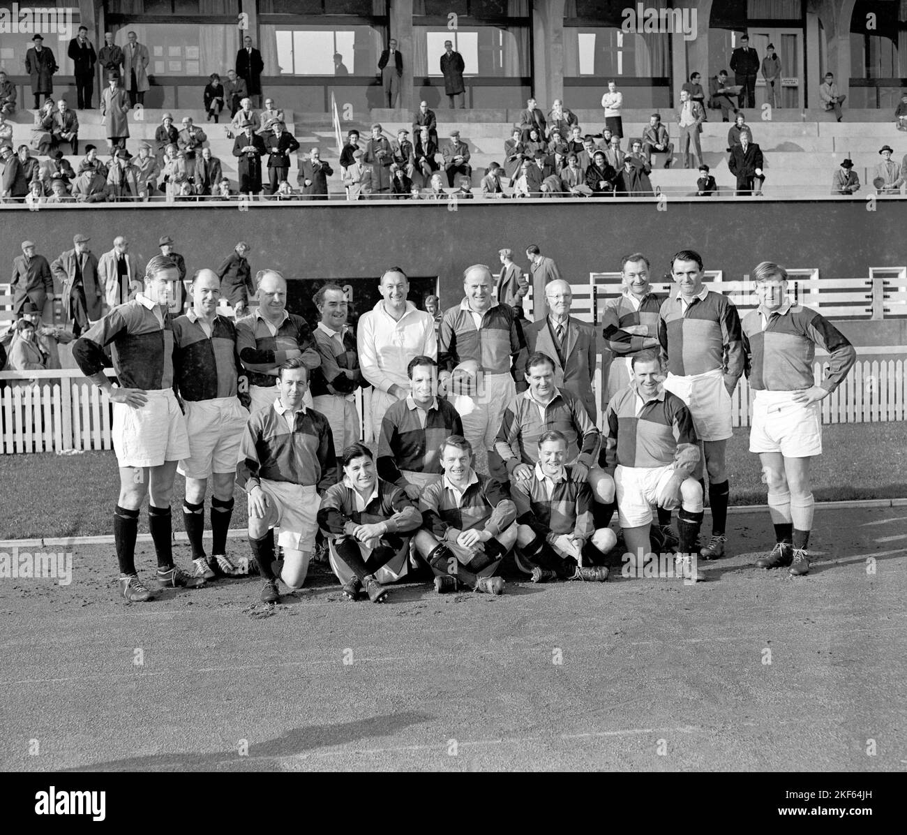 Harlequins team group Stock Photo - Alamy