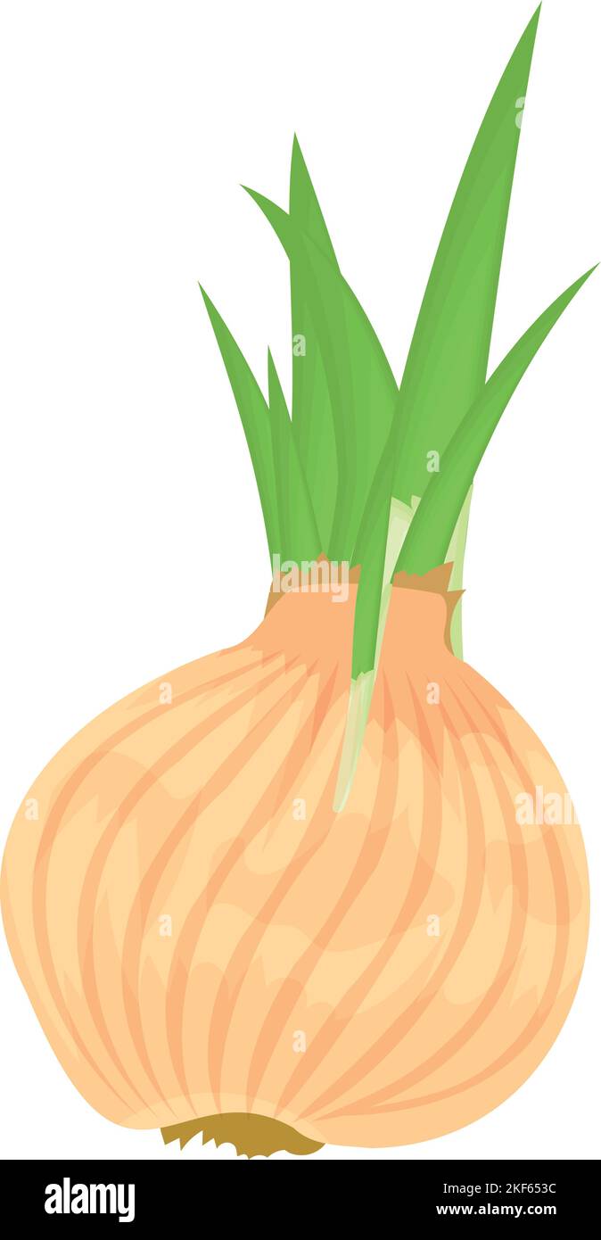Onion icon. Cartoon fresh vegetable. Healthy cooking ingredient Stock ...