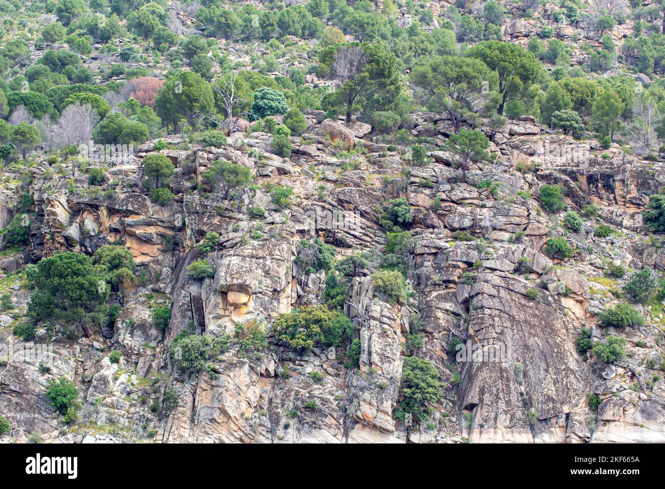 A beautiful scene of rocky cliffs covered with trees Stock Photo - Alamy