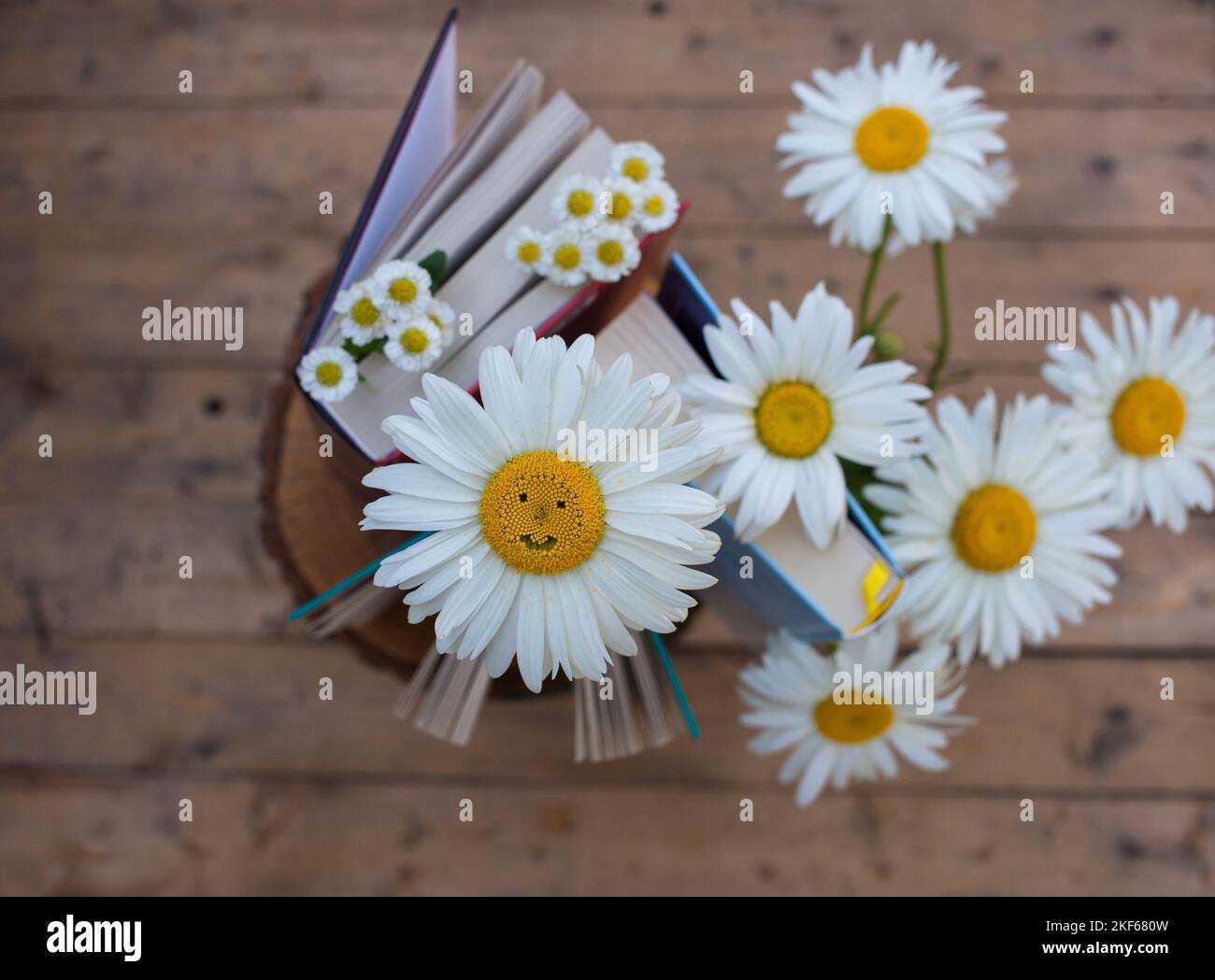 books stand upright, daisies stick out between pages, one of them with ...