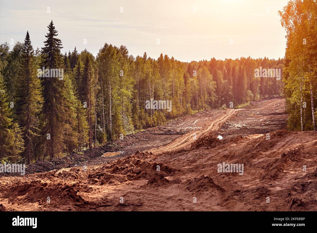 Construction of the route through the forest Stock Photo - Alamy