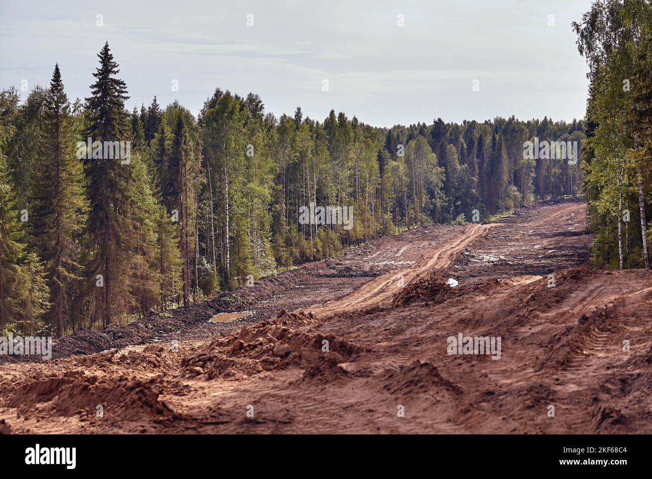 Construction of the route through the forest Stock Photo - Alamy