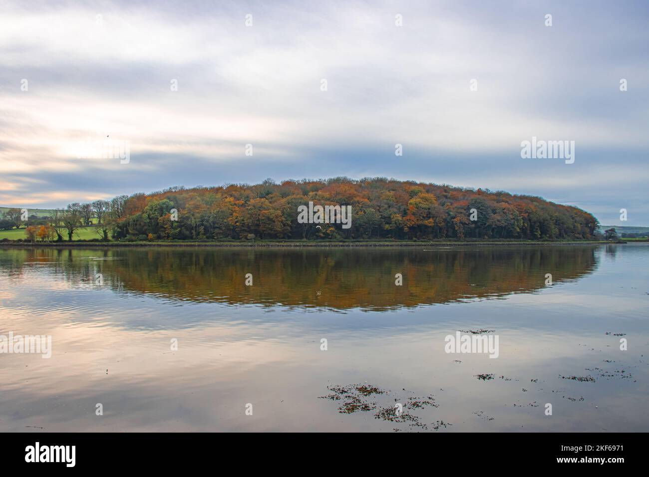 Atlantic oak wood hi-res stock photography and images - Alamy
