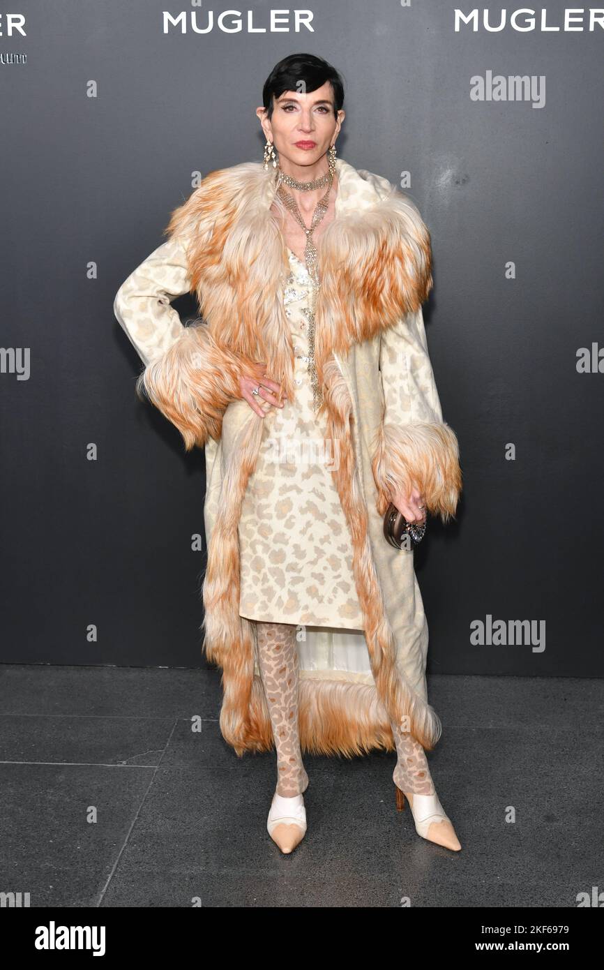 Amy Fine Collins attends the Thierry Mugler: Couturissime opening night ...