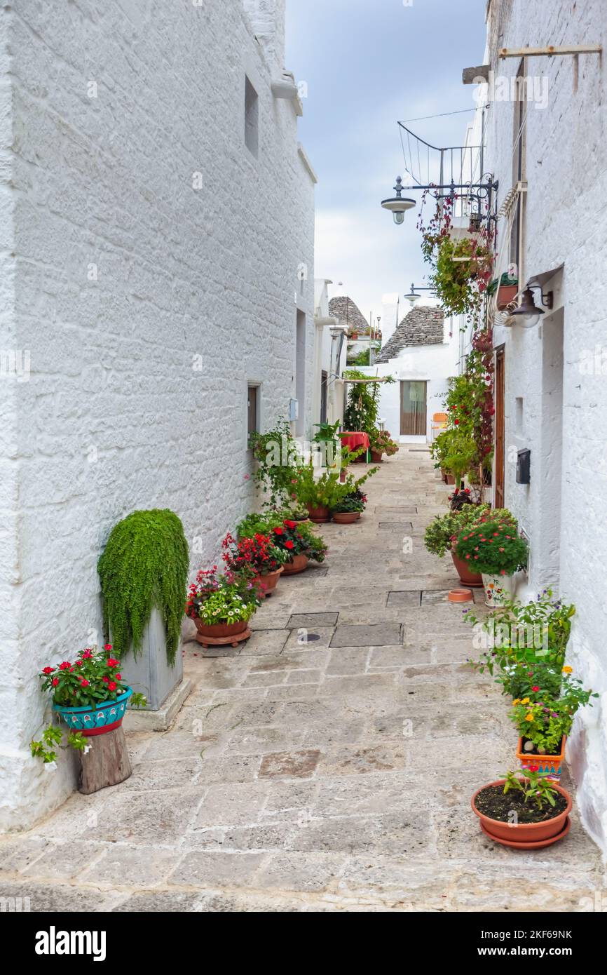 Beautiful town of Alberobello with Trulli houses among green plants and ...