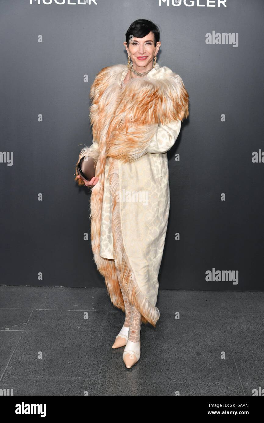 Amy Fine Collins attends the Thierry Mugler: Couturissime opening night ...