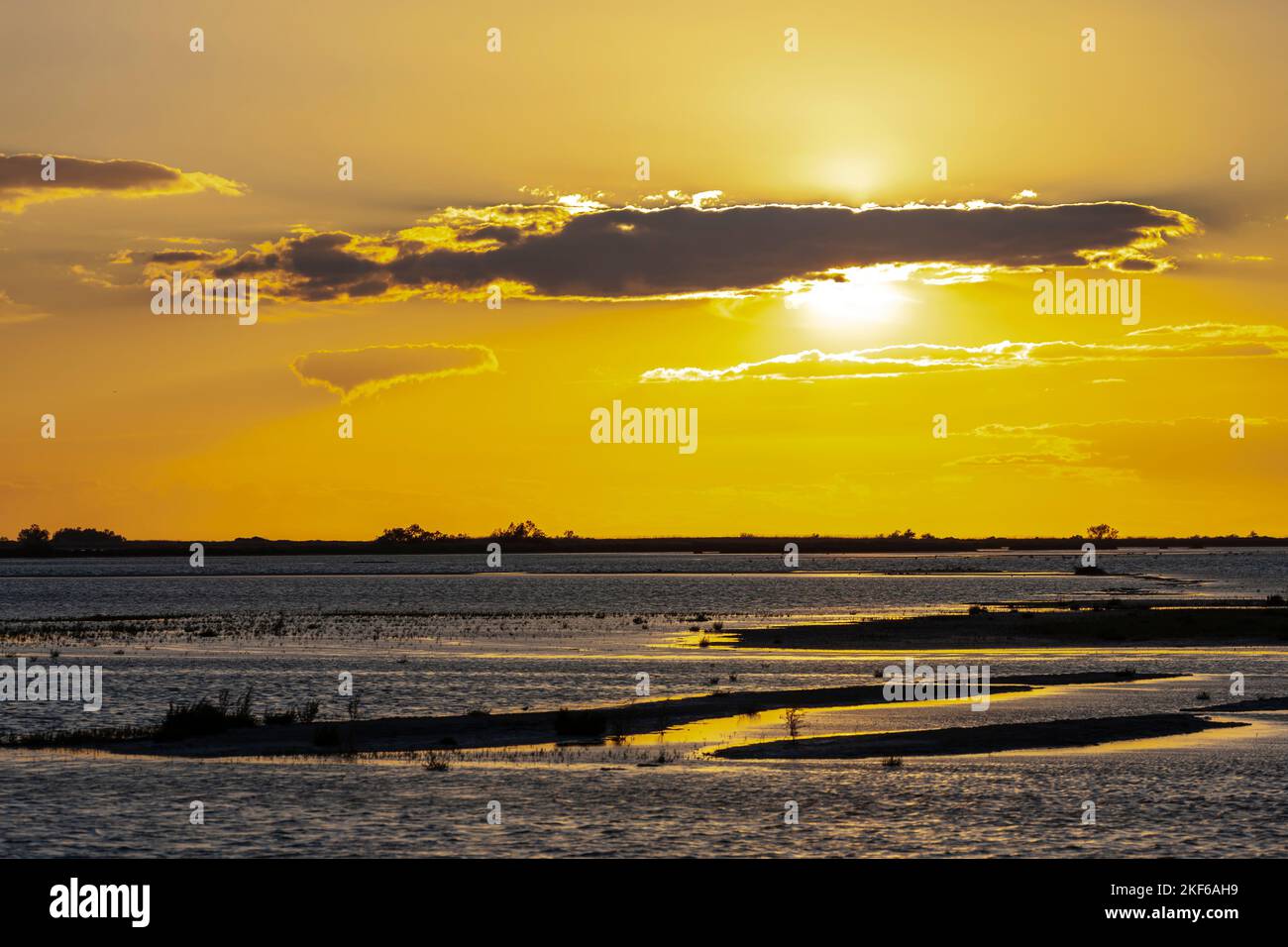 National park Camargue, Provence, France Stock Photo - Alamy