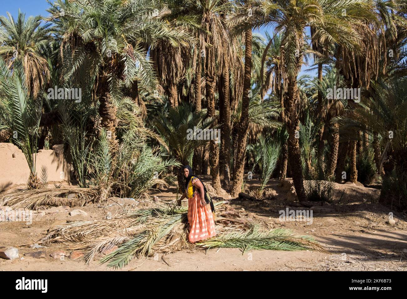 Morocco, Akka, oasis Stock Photo - Alamy