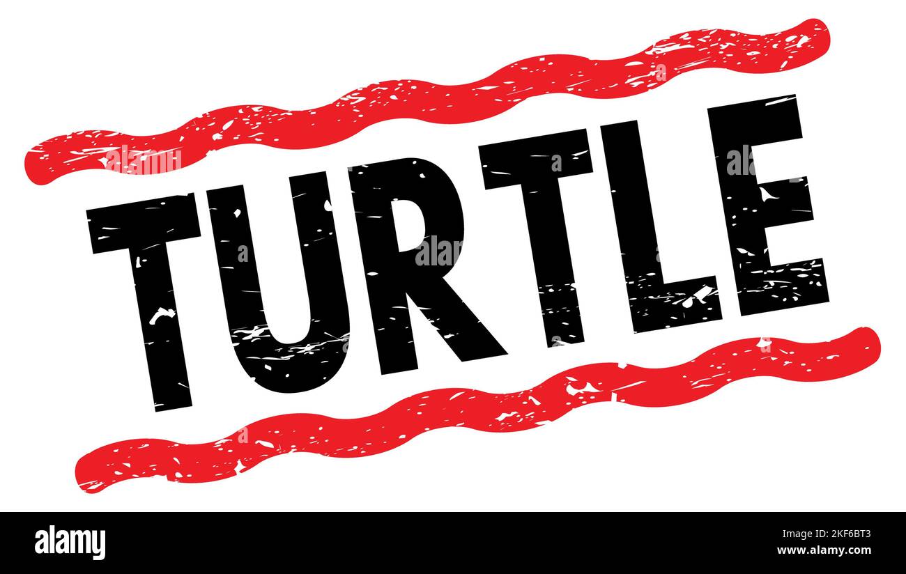 TURTLE text written on red-black lines stamp sign Stock Photo - Alamy